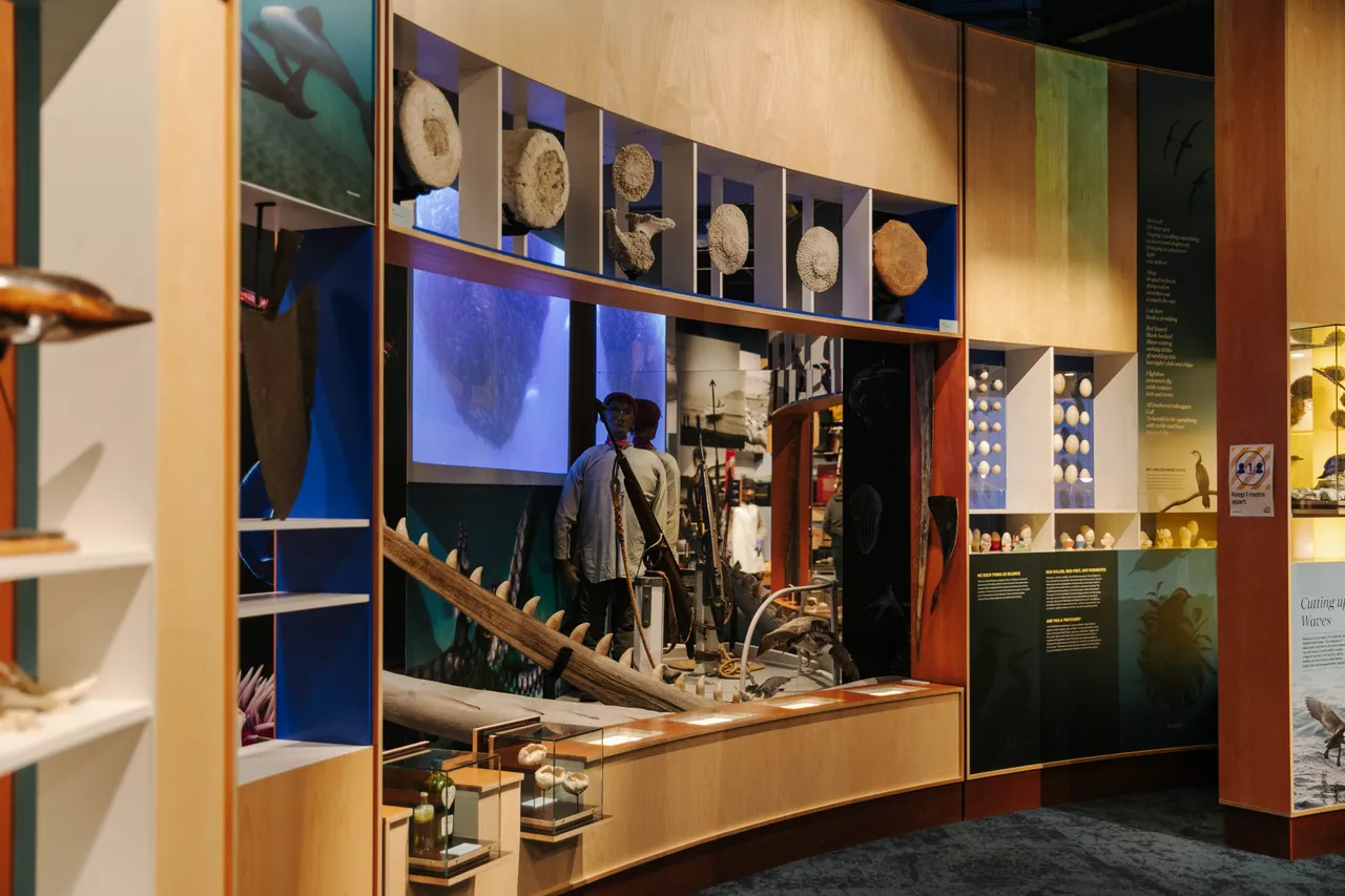 Kaikoura Image Library - Kaikoura_Museum-11