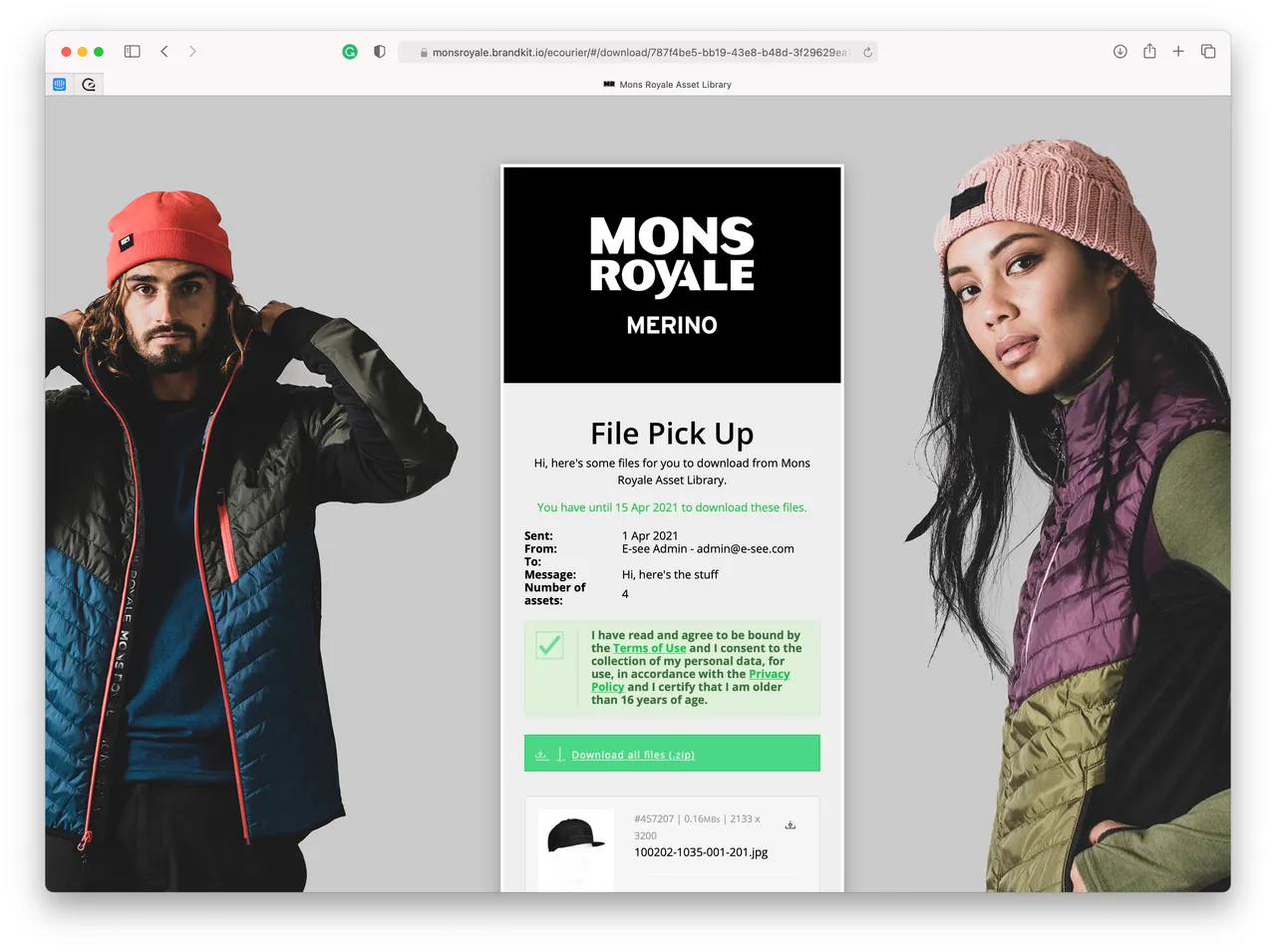 Brandkit HQ - bk-ecourier-landing-page-MonsRoyale