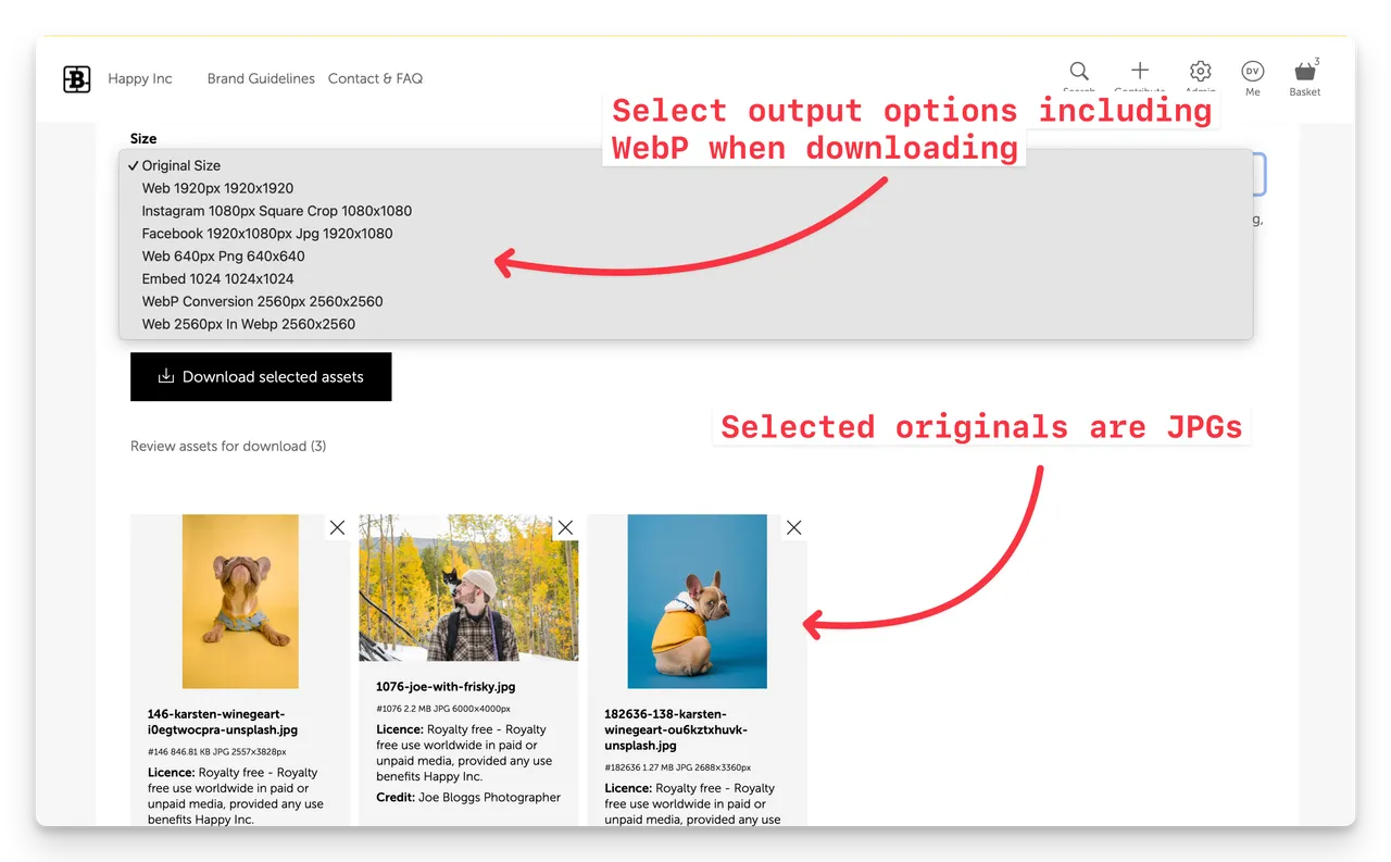 Brandkit HQ - Why Use WebP Images for the Web, and How to Generate Them