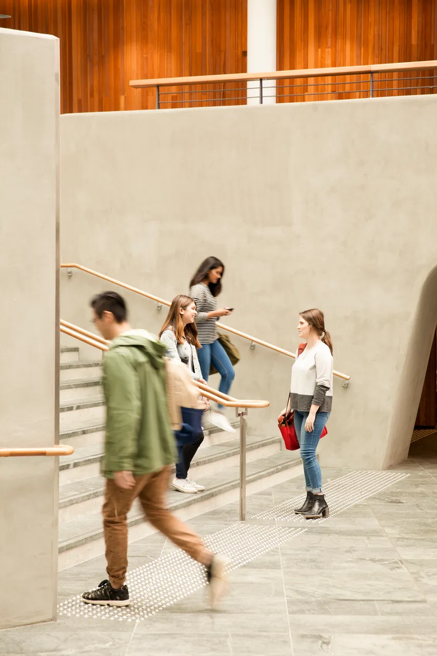 New Zealand Story Toolkit - Modern Style