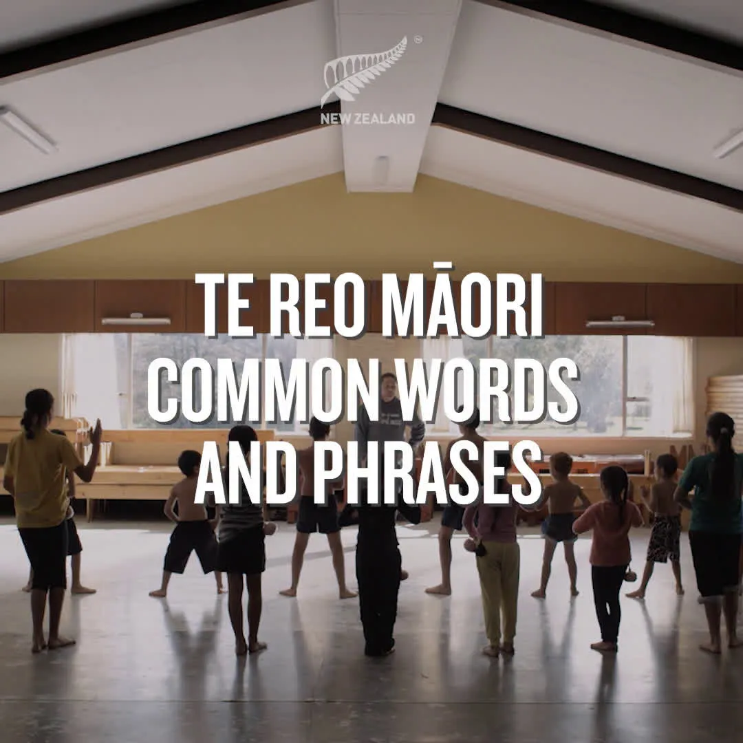 New Zealand Story Toolkit - Common Maori Words / Phrases Social Video_1x1
