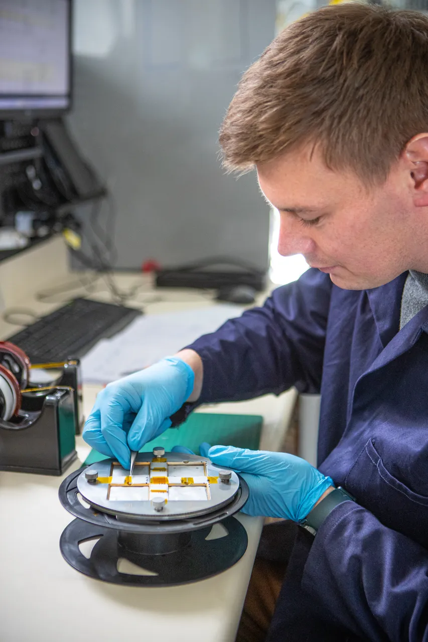 New Zealand Story Toolkit - BSPKL A10I8222