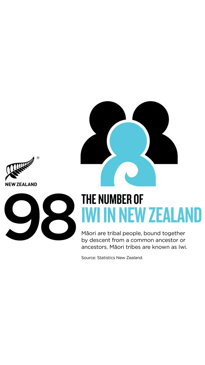 New Zealand Story Toolkit - NZStory_Infographic_77322_Maori_Iwi_9x16