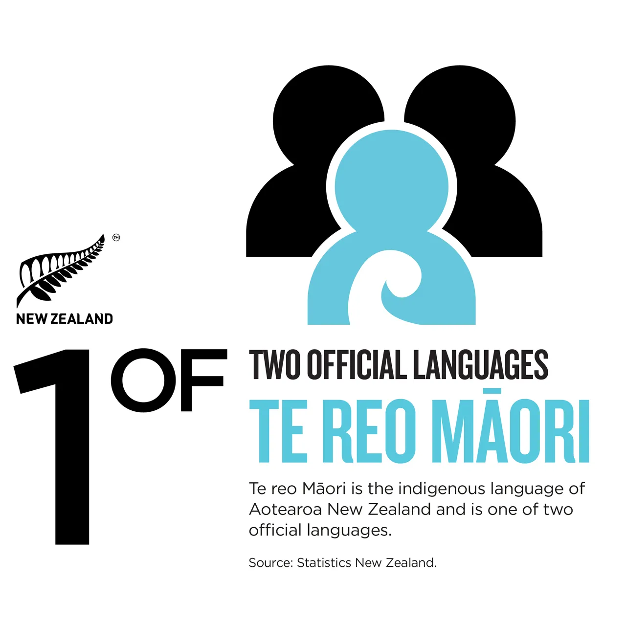 New Zealand Story Toolkit - NZStory_Infographic_224350_Maori_1of2_Languages