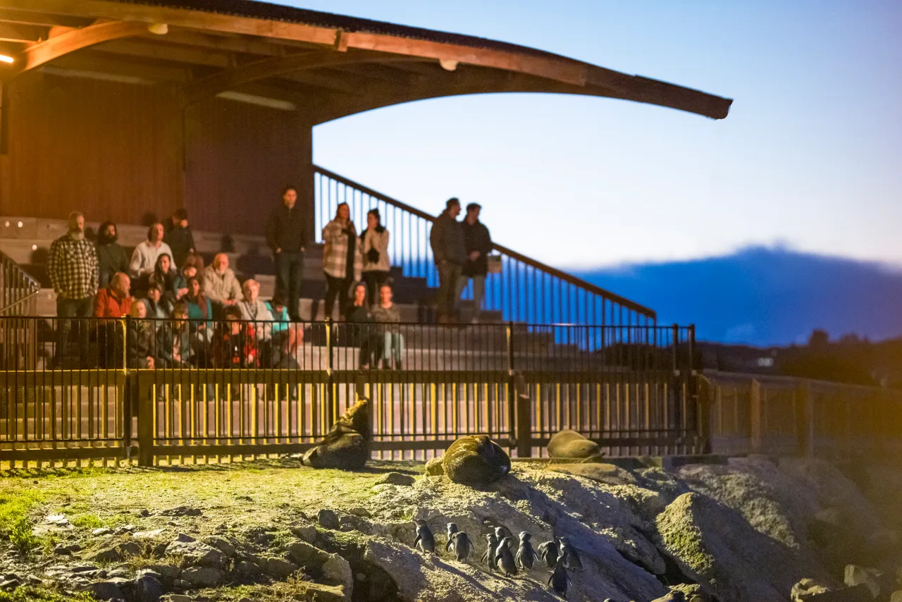 Tourism NZ Visual Library - Oamaru, Otago