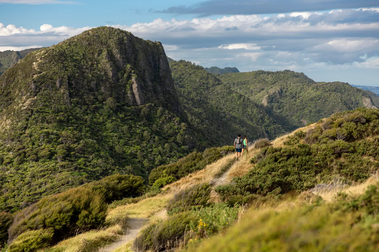 Tourism NZ Visual Library - Waitākere Ranges, Auckland