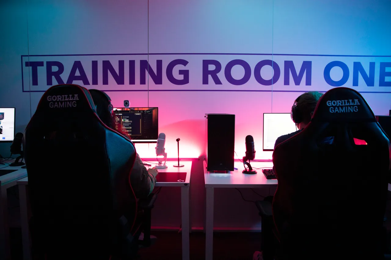 Auckland Brand Library - Two men sitting behind computer in gaming ...