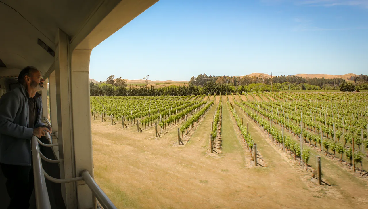 KiwiRail brand toolkit - The vineyards of Blenheim on Coastal Pacifc