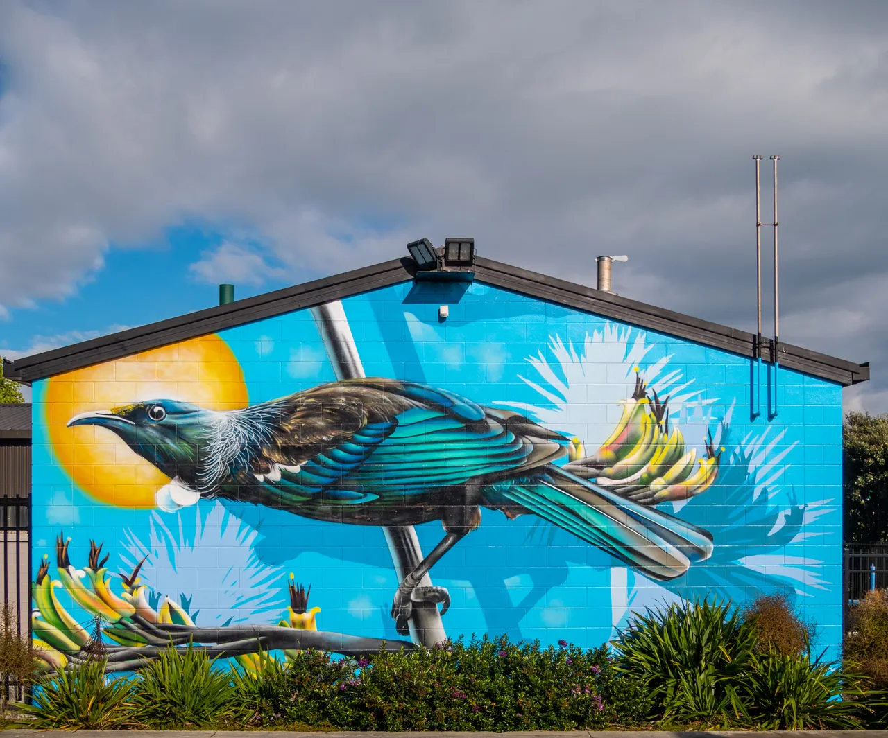 Tui Mural by Charles & Janine Williams in Neale Park