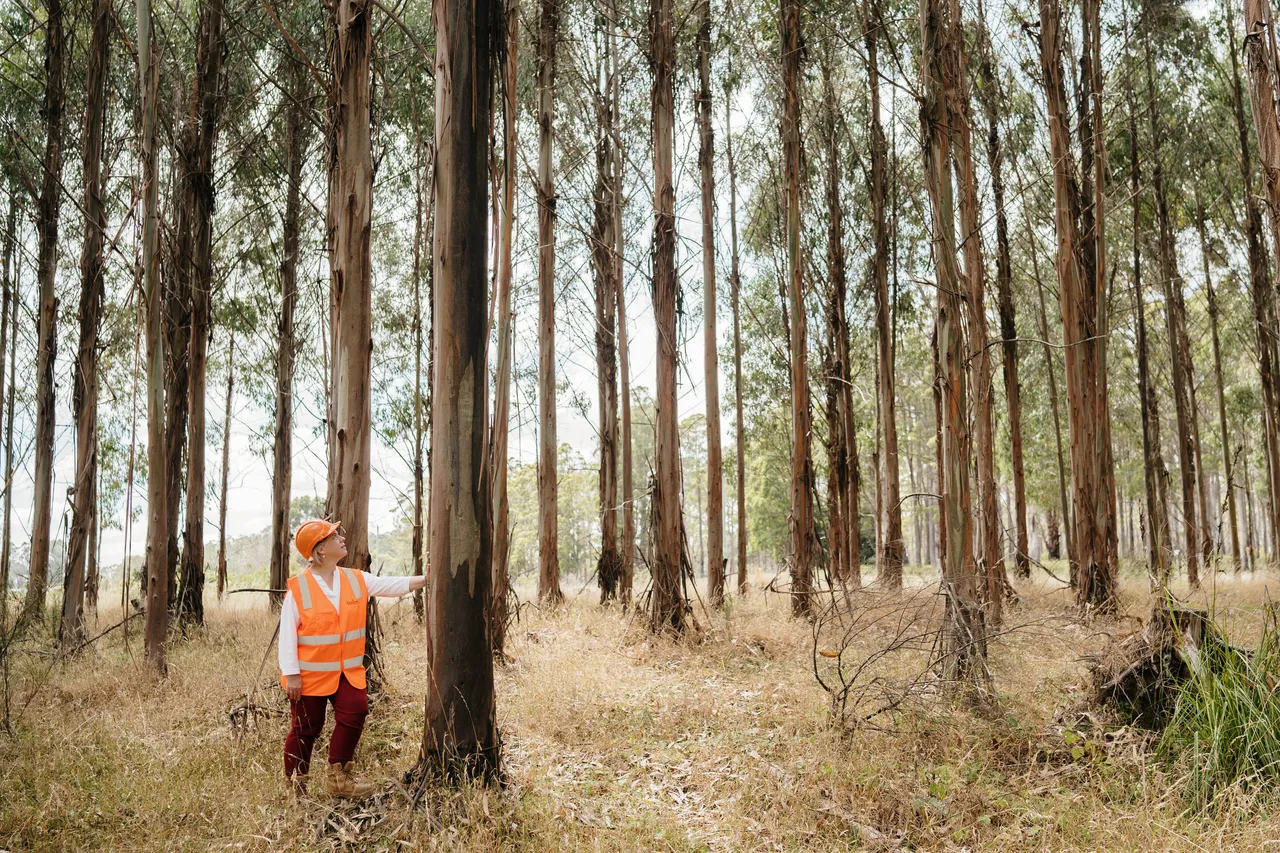 Tasmanian Partner Toolkit - Forico