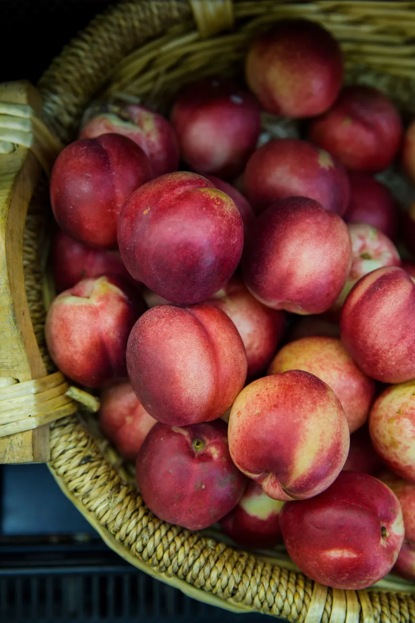 School of Food and Nutrition, Veges and Fruit