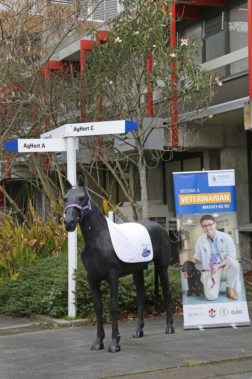 Massey University Brand Library - Open Day 2015