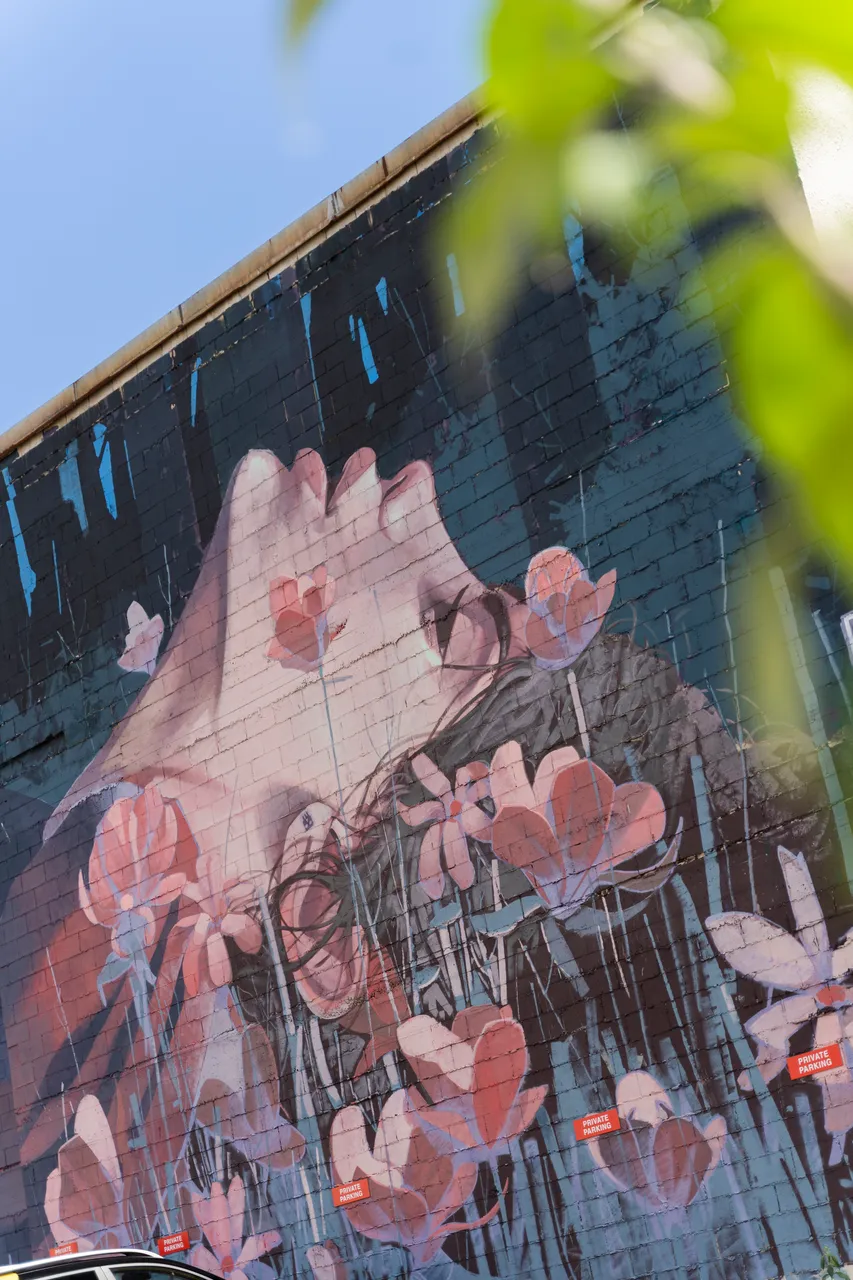 Dunedin NZ Visual Library - URBAN_StreetArt_Bezt_002_DunedinNZ
