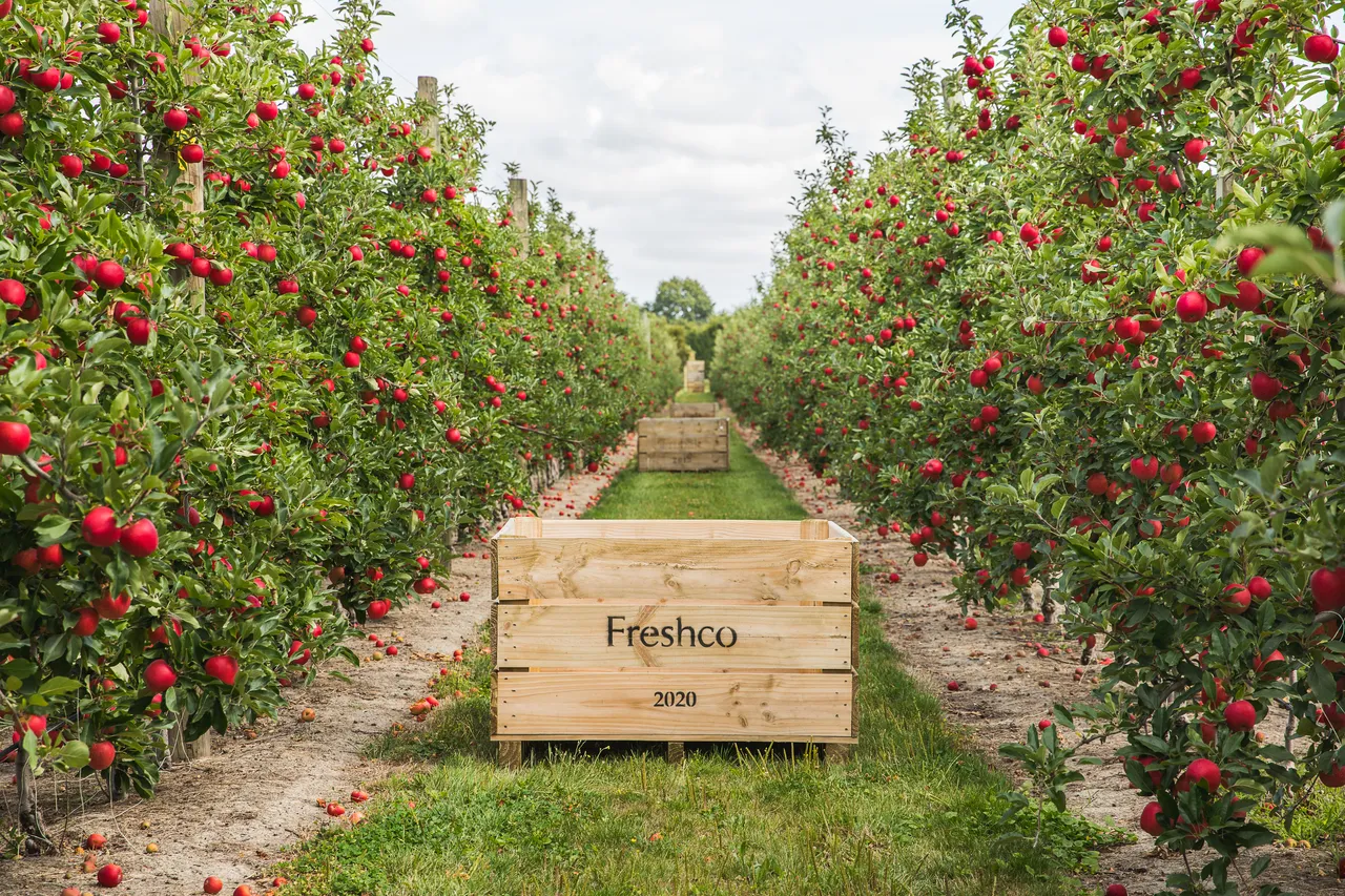 Freshco Brand Centre - Breeze John-03